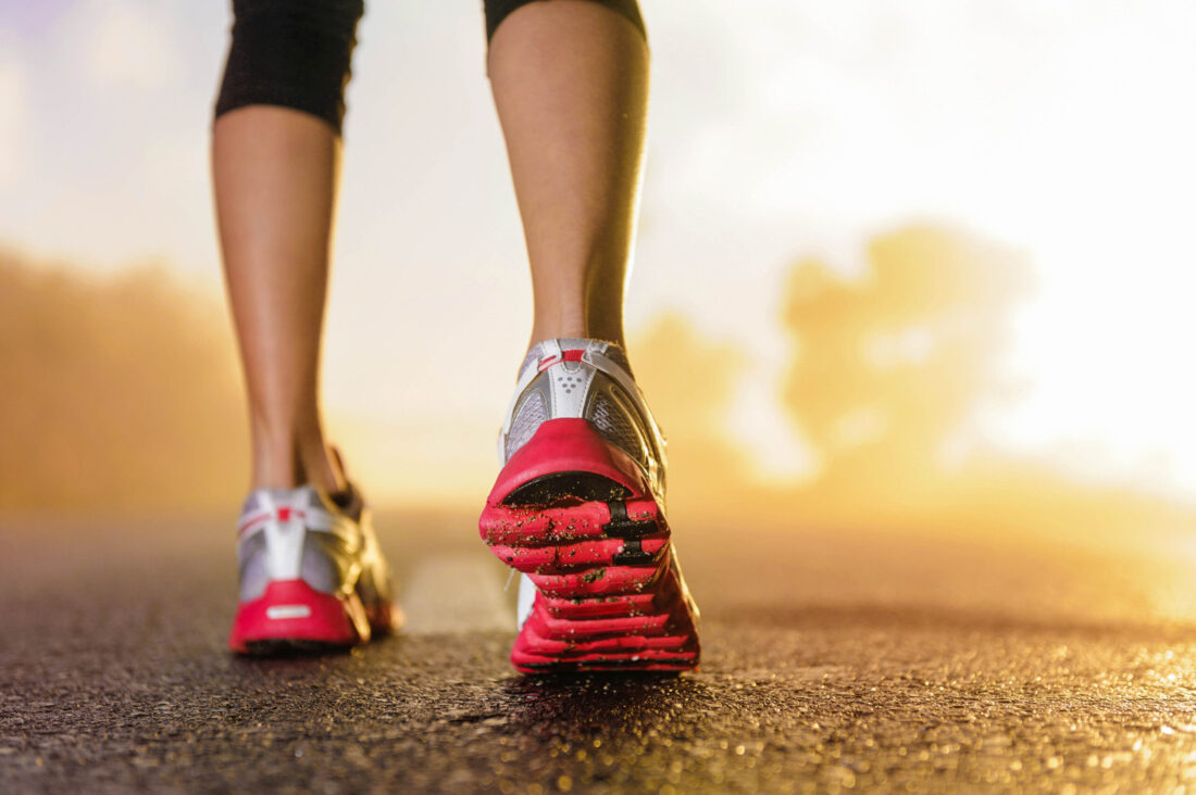 Local teams compete in Seahawks Invitational cross country meet - North Fort Myers Neighbor